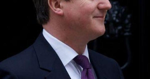 david cameron one direction